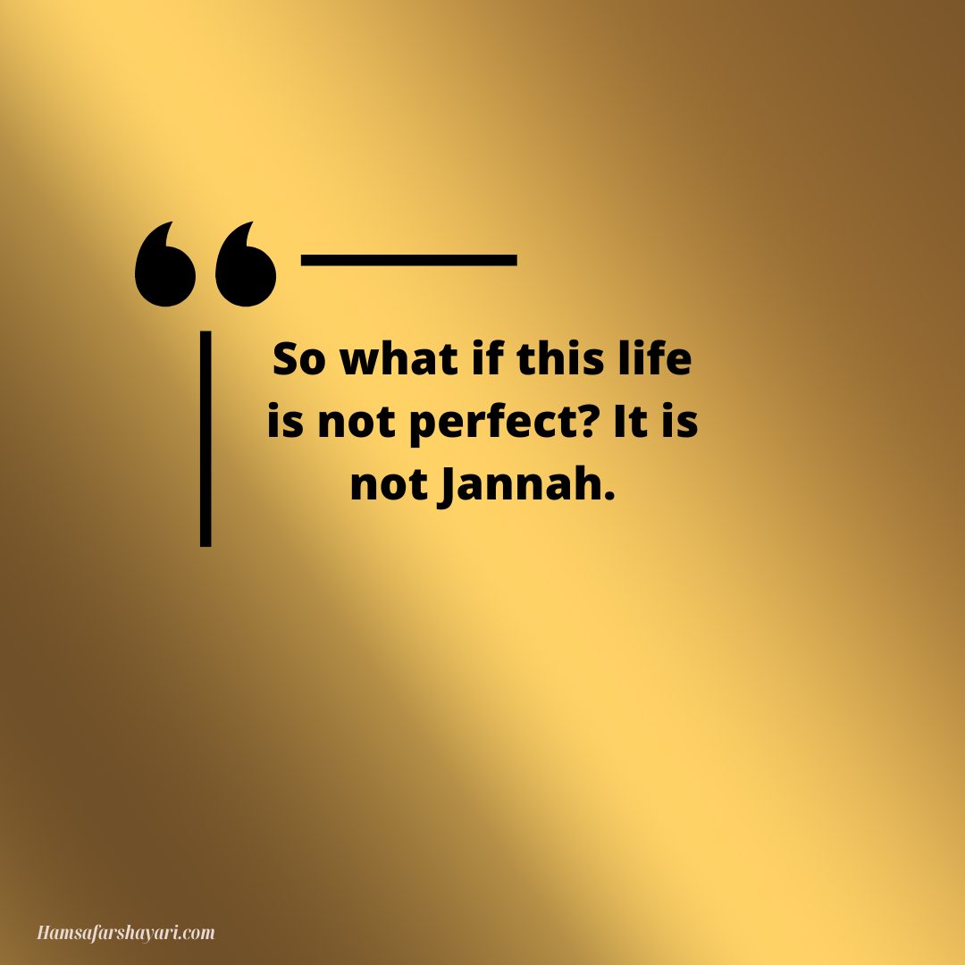Quotes on quran- top 312+ best quotes about Quran - Hamsafarshayari